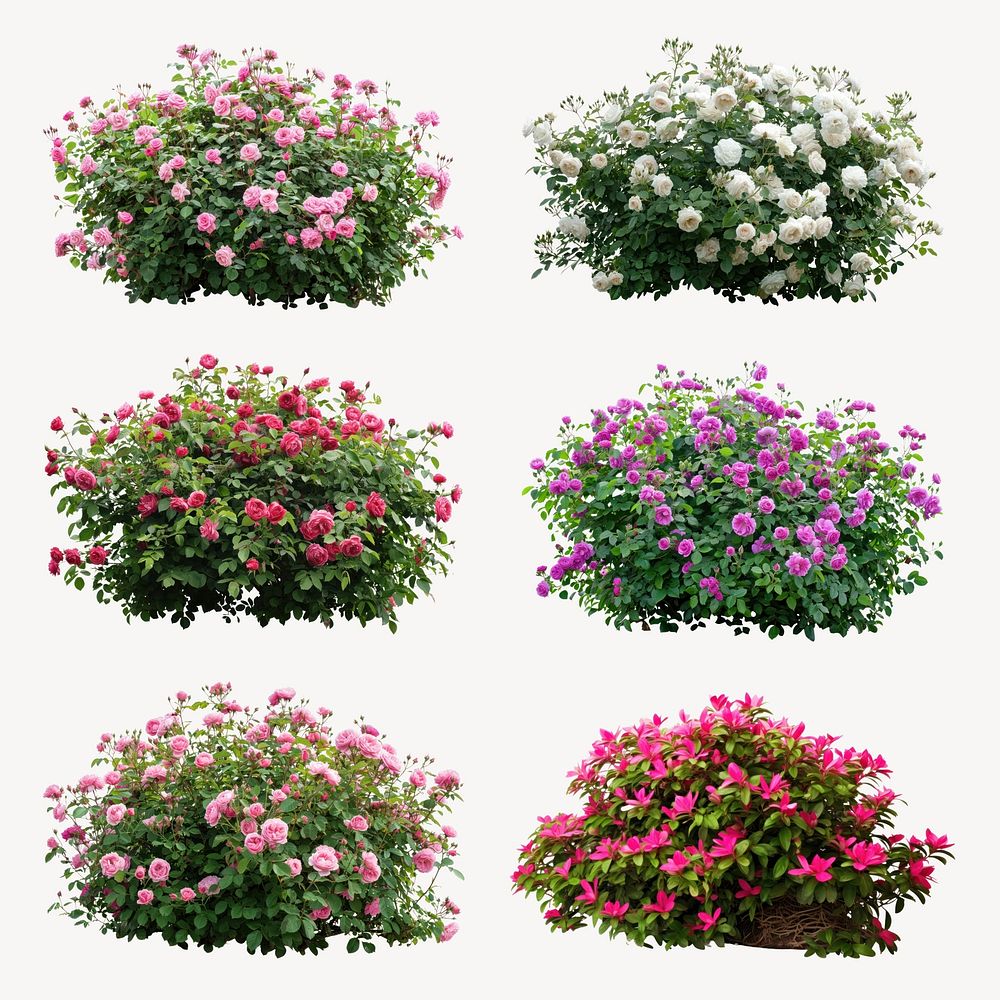 Garden bush element set | Free Photo - rawpixel