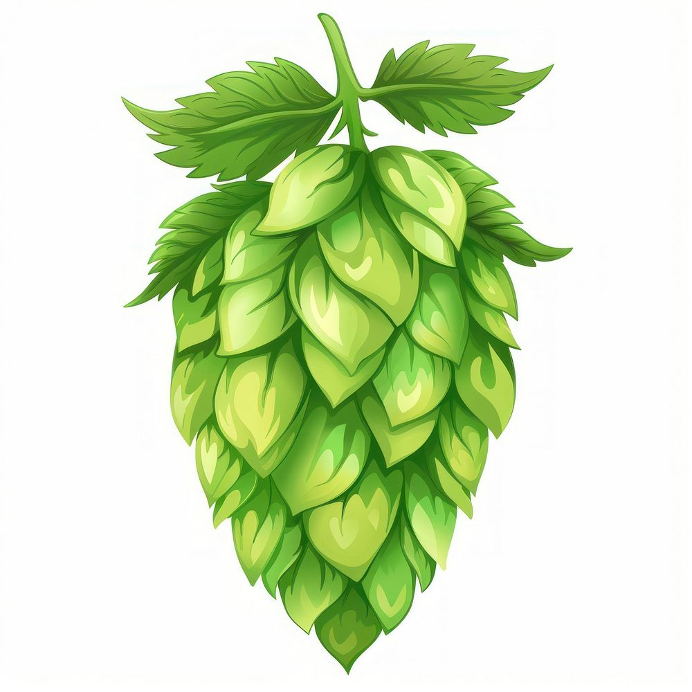 Green hop cone illustration art | Free Photo Illustration - rawpixel