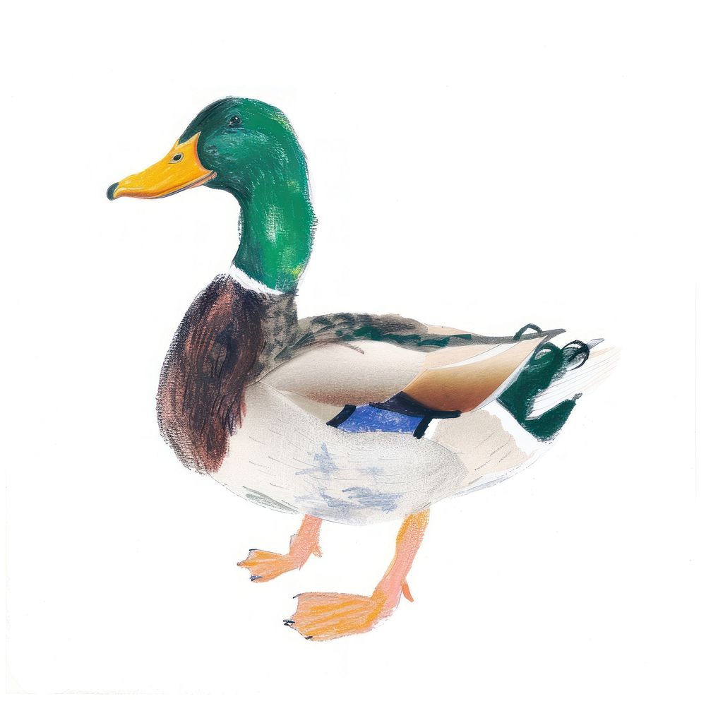 Colorful duck illustration art | Free Photo Illustration - rawpixel