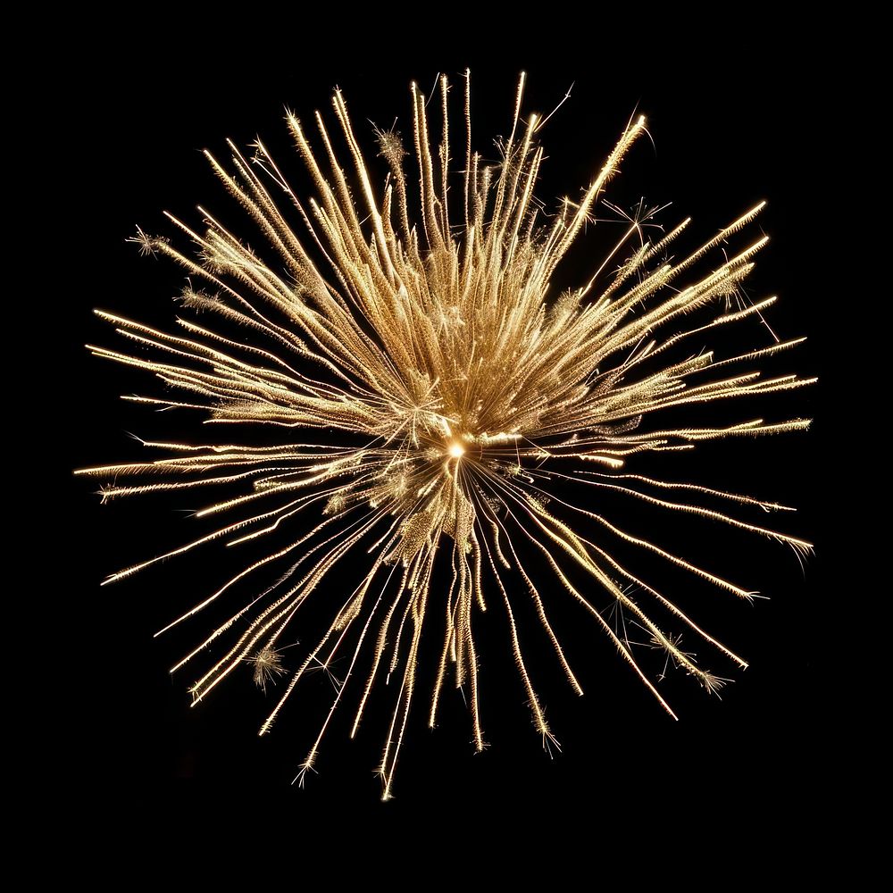 Gold firework fireworks plant. | Free Photo - rawpixel