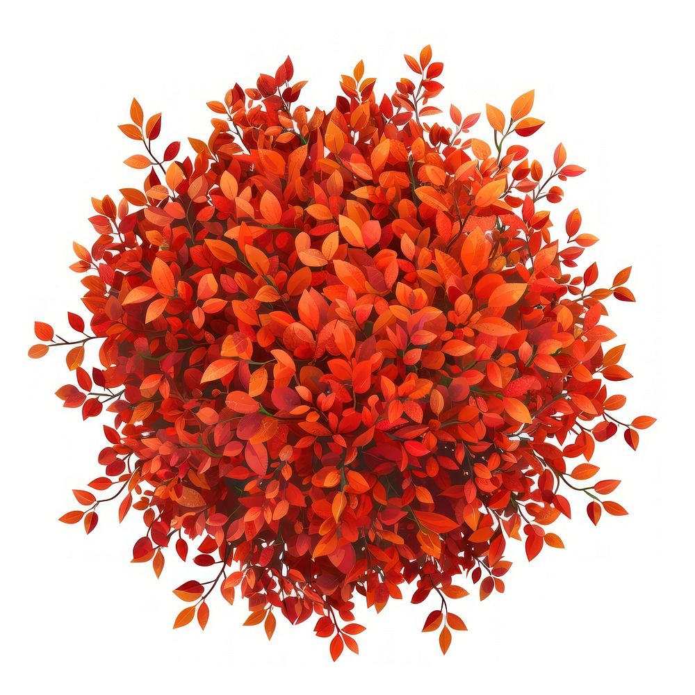 Fall bush tree blossom flower | Free Photo Illustration - rawpixel