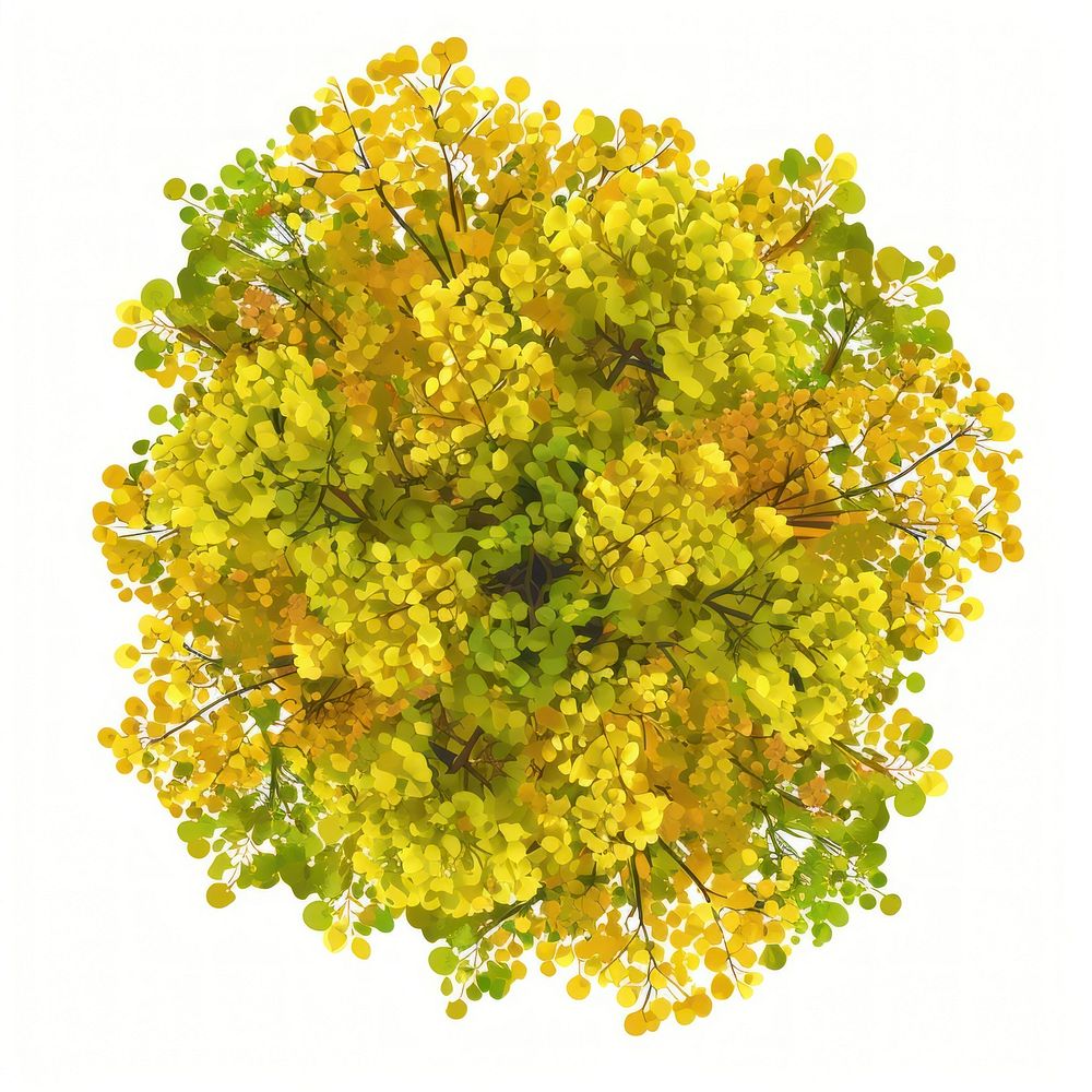 Fall bush tree vegetation apiaceae | Free Photo Illustration - rawpixel