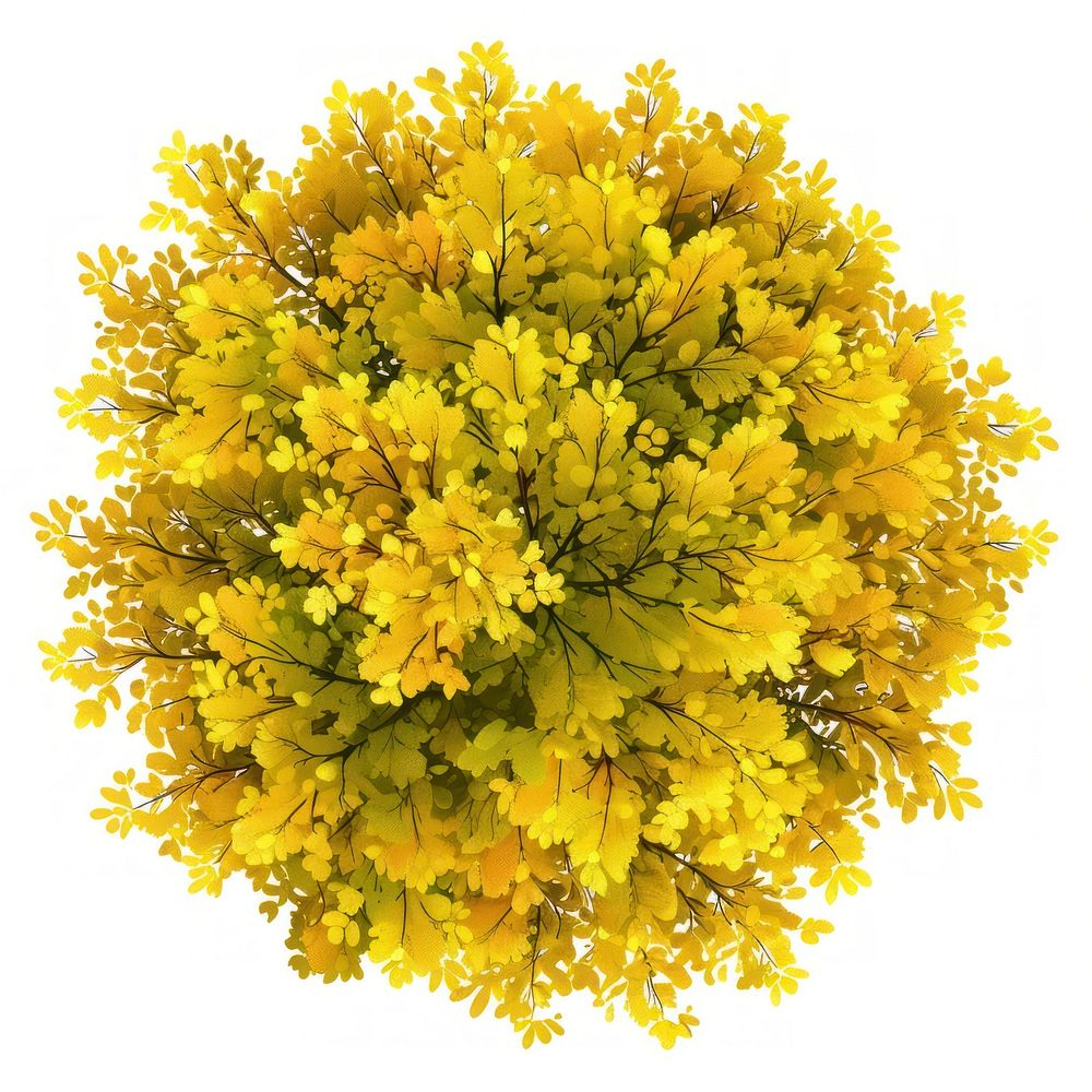 Fall bush tree vegetation asteraceae | Free Photo Illustration - rawpixel