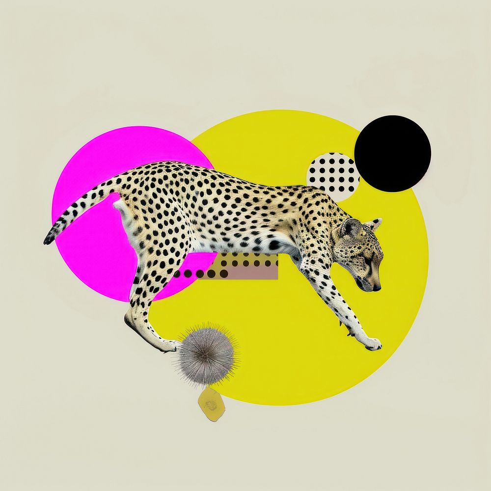 Collage art animal and cmyk | Free Photo Illustration - rawpixel