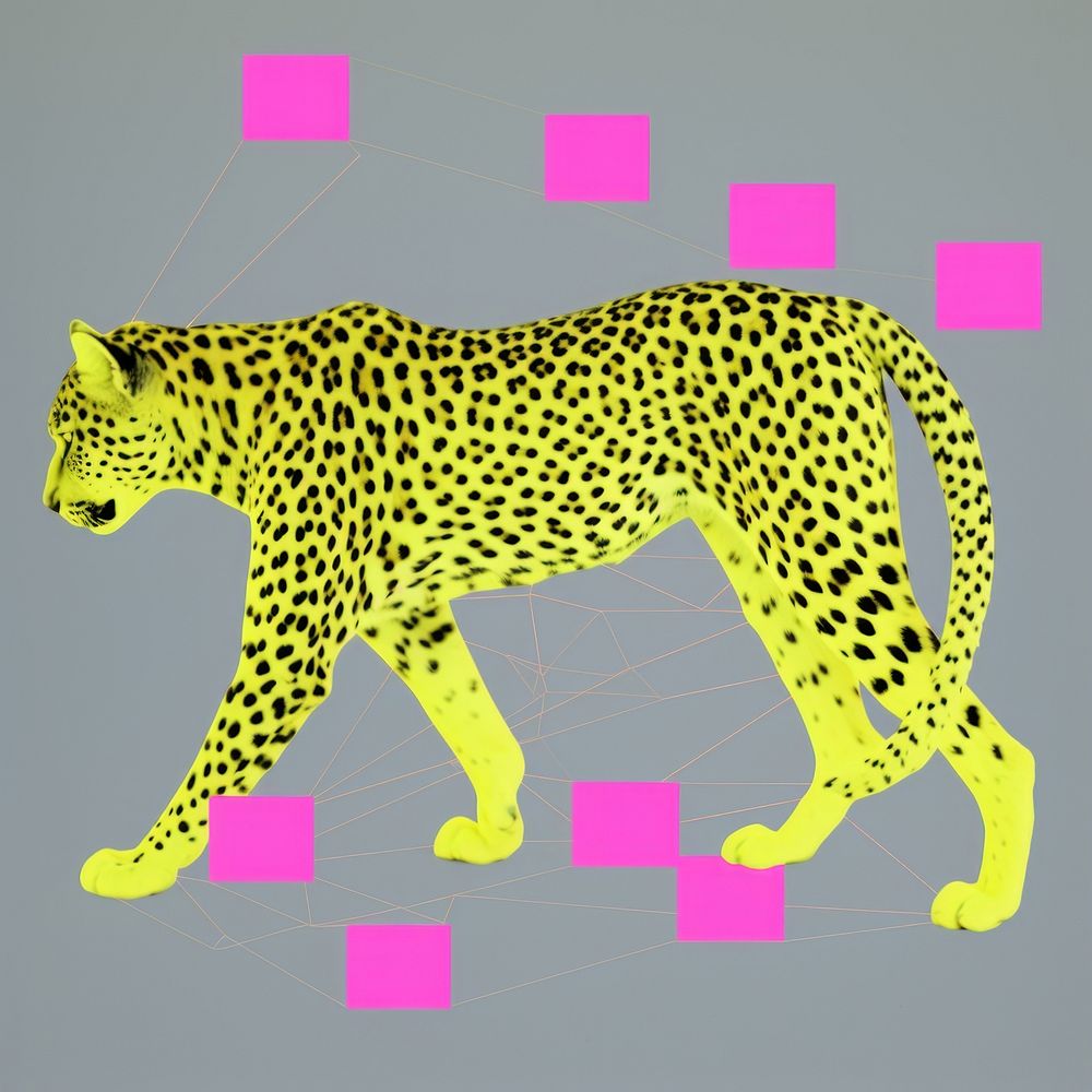 Collage art animal and cmyk | Free Photo Illustration - rawpixel