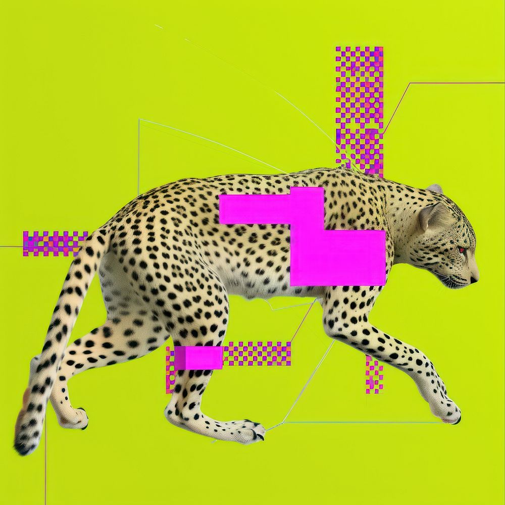 Collage art animal and cmyk | Free Photo Illustration - rawpixel