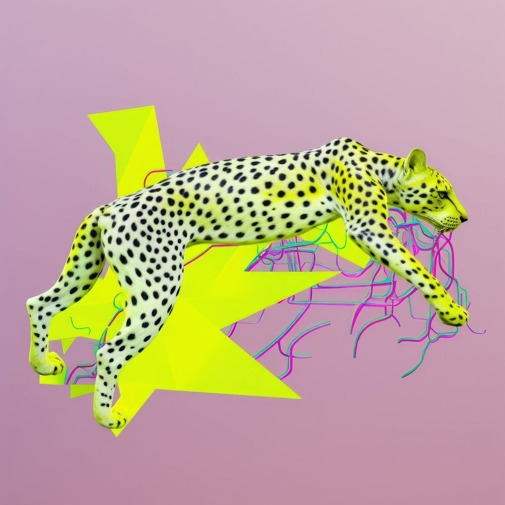 Collage art animal and cmyk | Free Photo Illustration - rawpixel