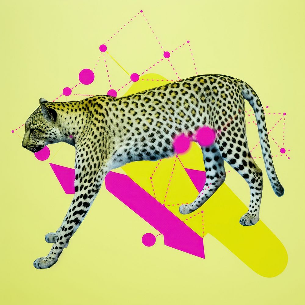 Collage art animal and cmyk | Free Photo Illustration - rawpixel