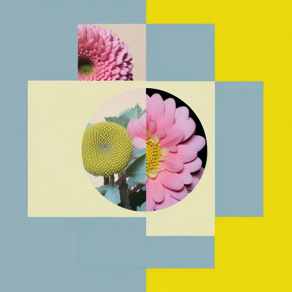 Collage art flower and cmyk | Free Photo Illustration - rawpixel