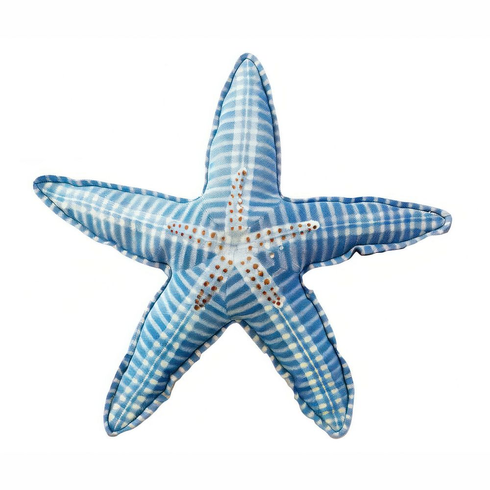 Starfish collage cutout invertebrate animal | Free Photo Illustration ...