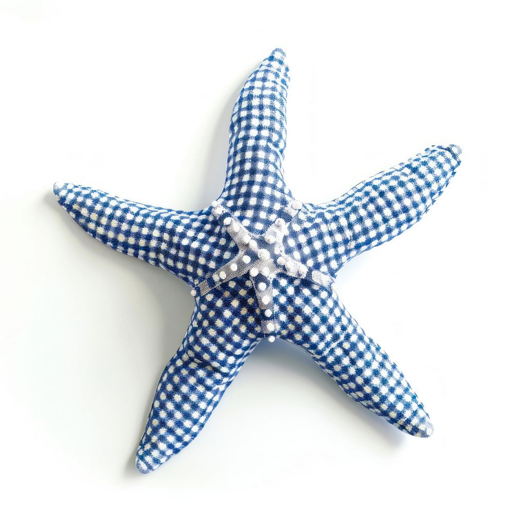 Starfish collage cutout animal sea | Free Photo Illustration - rawpixel