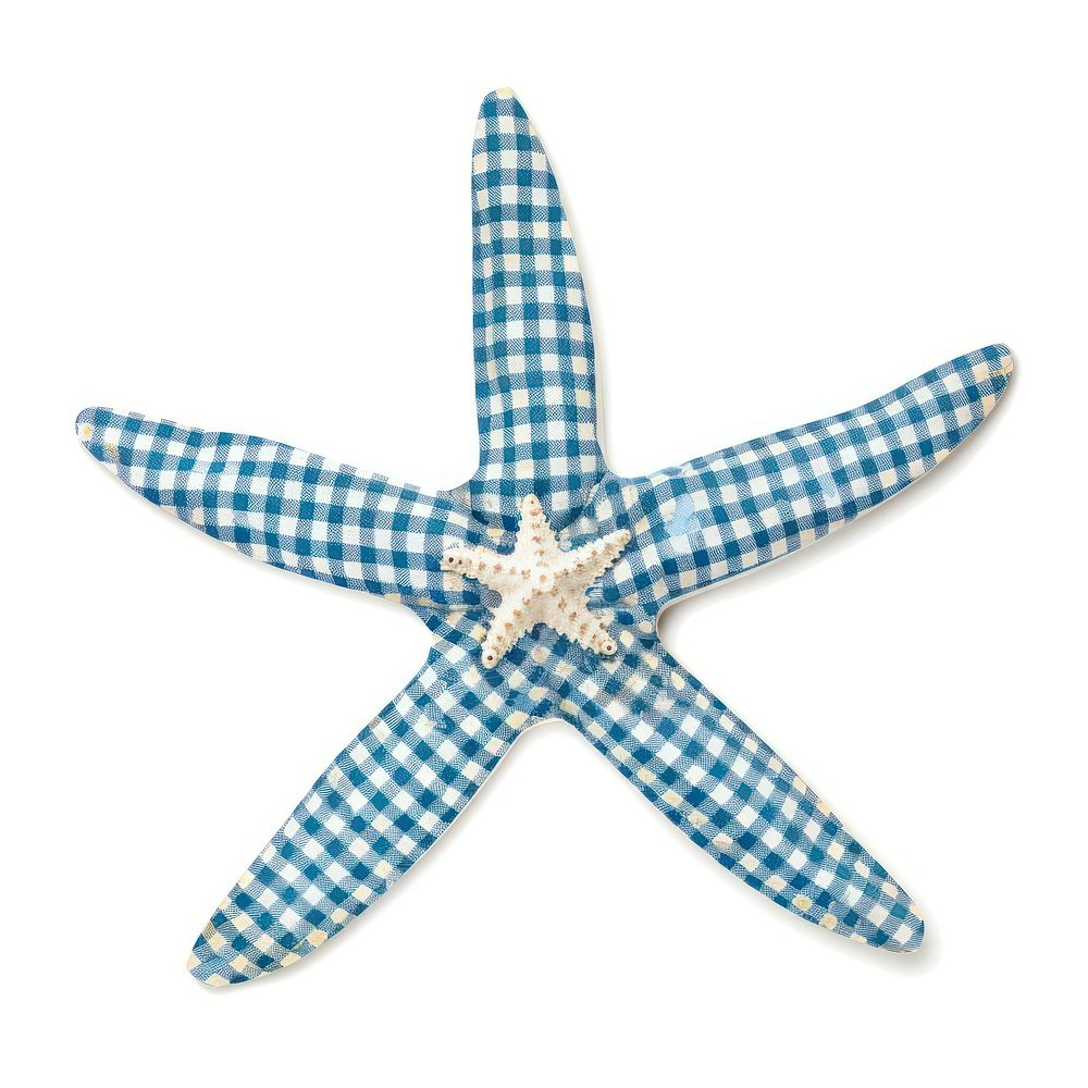 Starfish collage cutout transportation aircraft | Free Photo ...