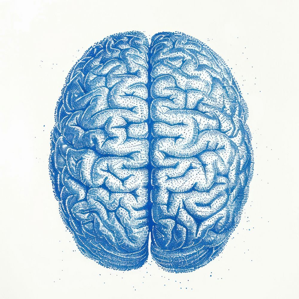 Detailed blue brain illustration | Free Photo Illustration - rawpixel