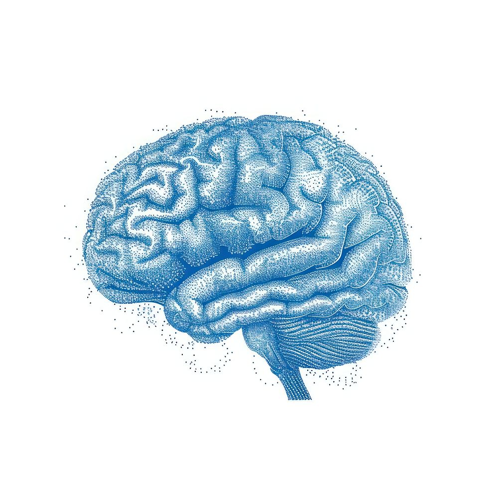 Detailed blue brain illustration | Free Photo Illustration - rawpixel