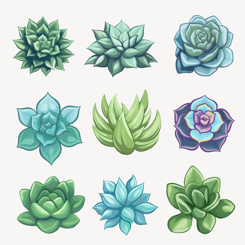 Succulent illustration vector set | Free Vector - rawpixel