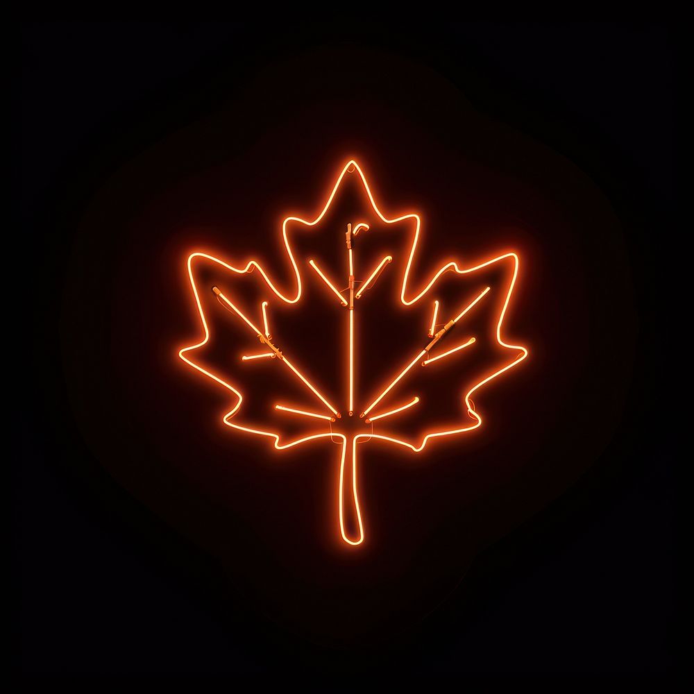 Glowing neon maple leaf illustration | Free Photo Illustration - rawpixel