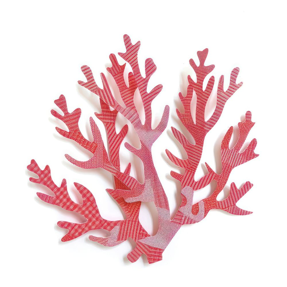 Coral collage cutout paper. | Free Photo Illustration - rawpixel