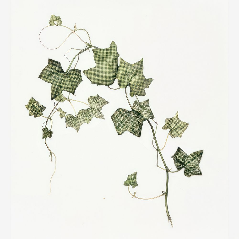 Ivy collage cutout furniture plant | Free Photo Illustration - rawpixel