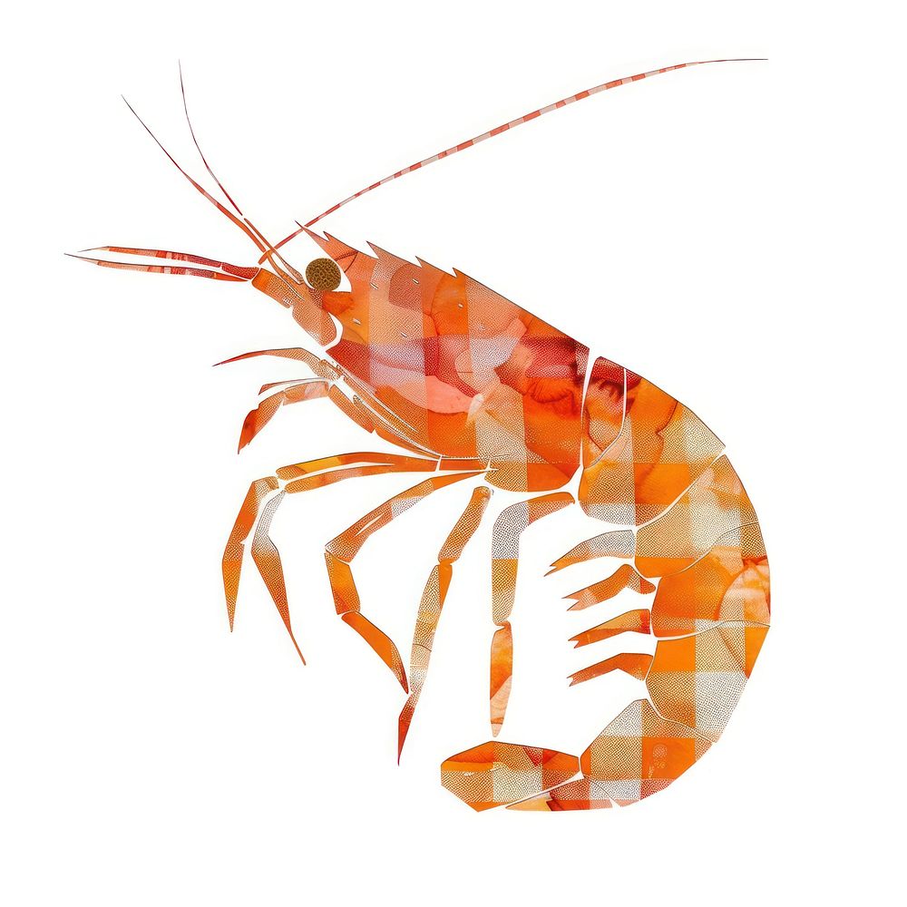 Shrimp collage cutout invertebrate seafood | Free Photo Illustration ...