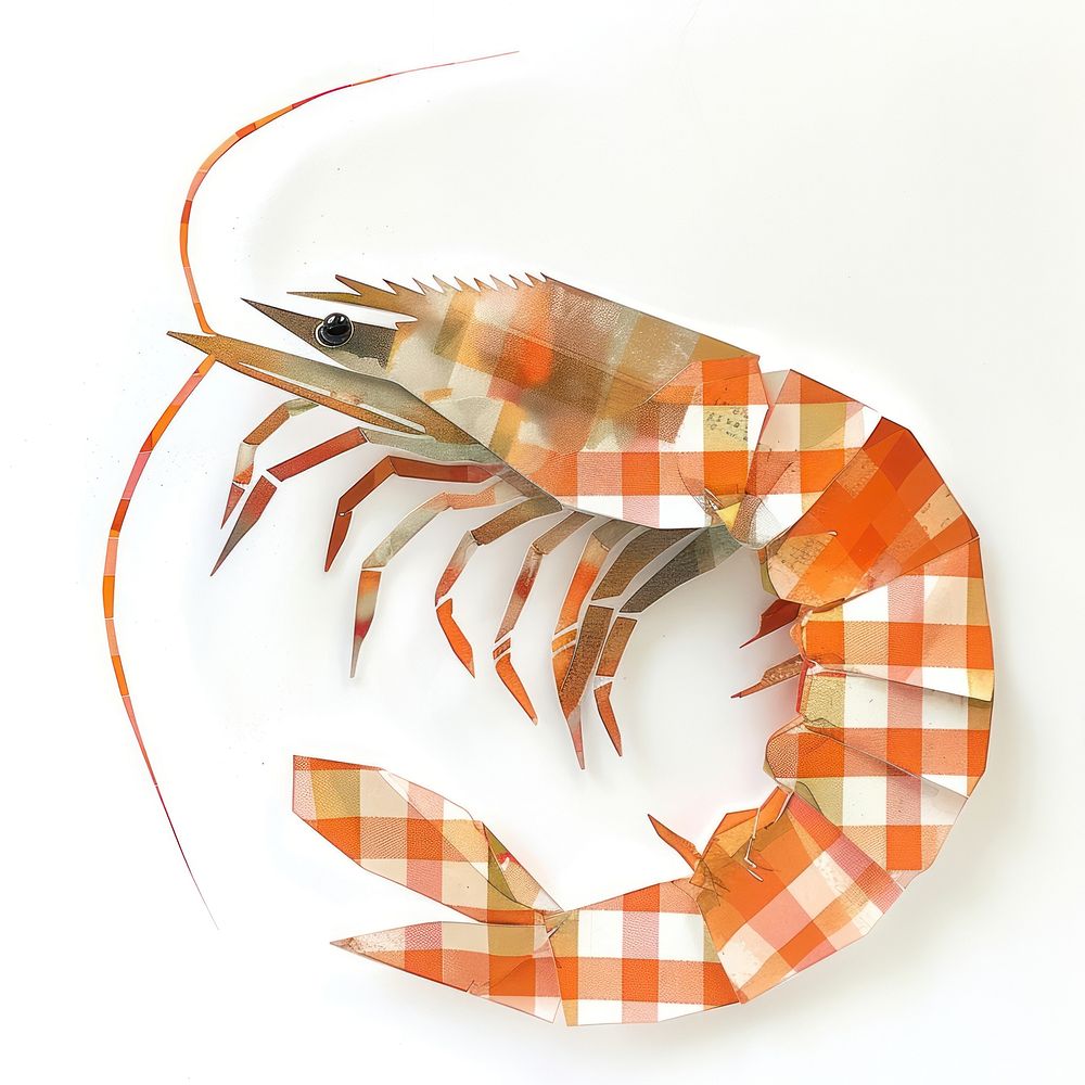 Shrimp collage cutout invertebrate seafood | Free Photo Illustration ...