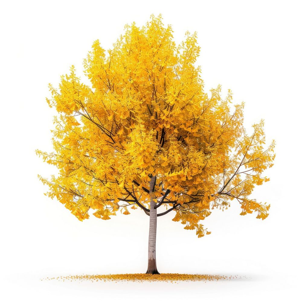 Vibrant autumn tree yellow leaves | Free Photo - rawpixel