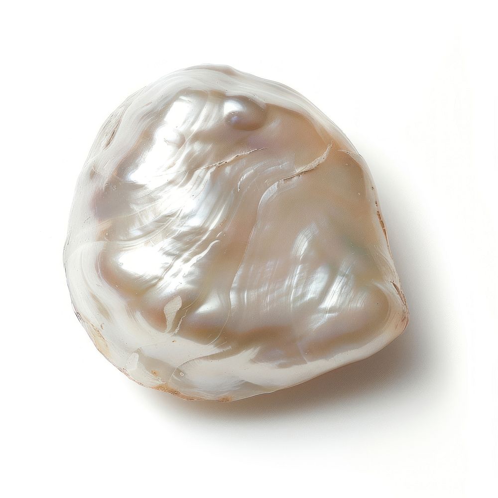 Lustrous natural pearl shell | Free Photo - rawpixel