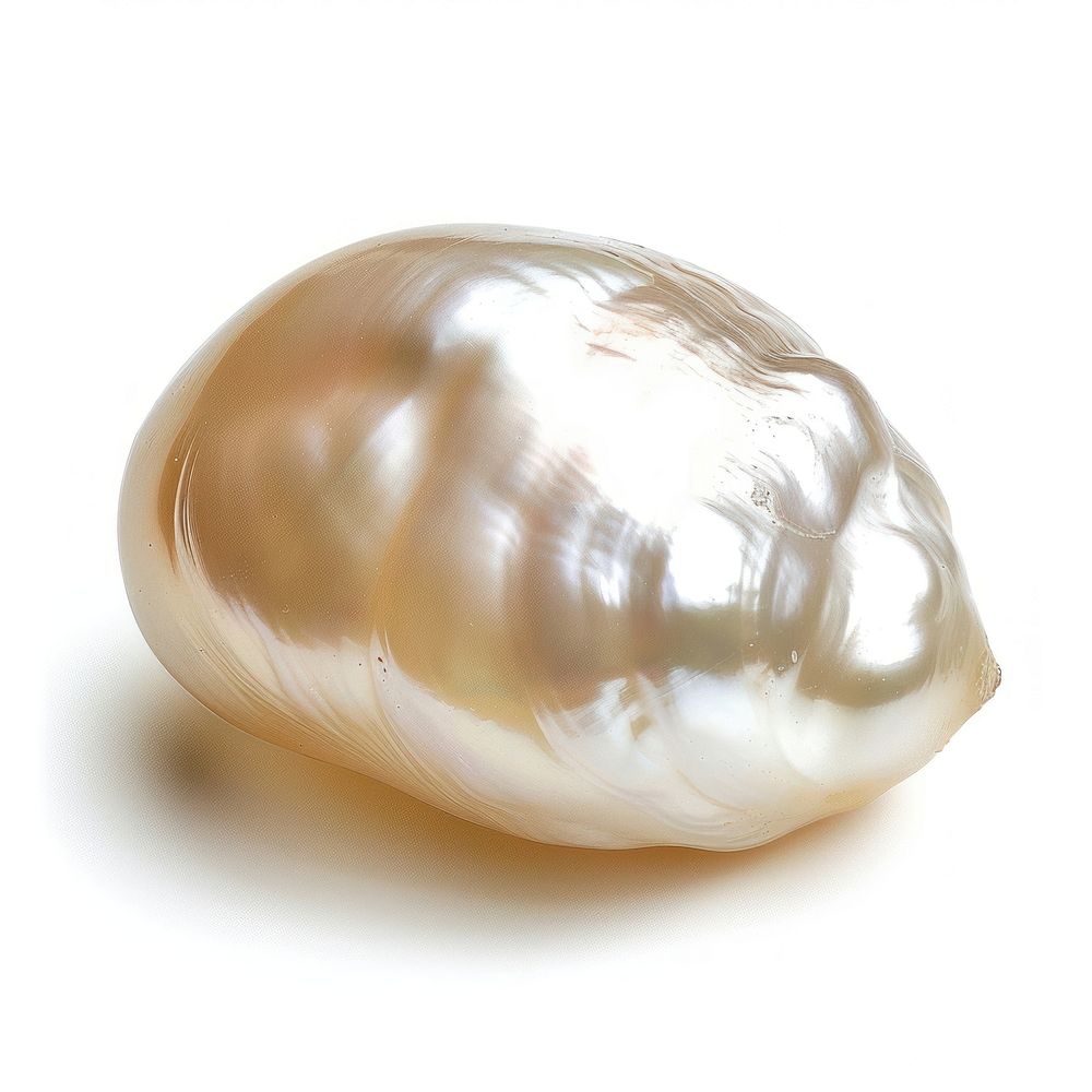 Lustrous pearl shell close-up | Free Photo - rawpixel