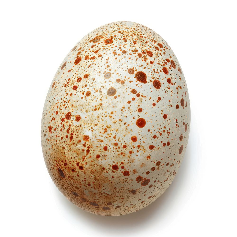 Duck egg food easter egg. | Free Photo - rawpixel