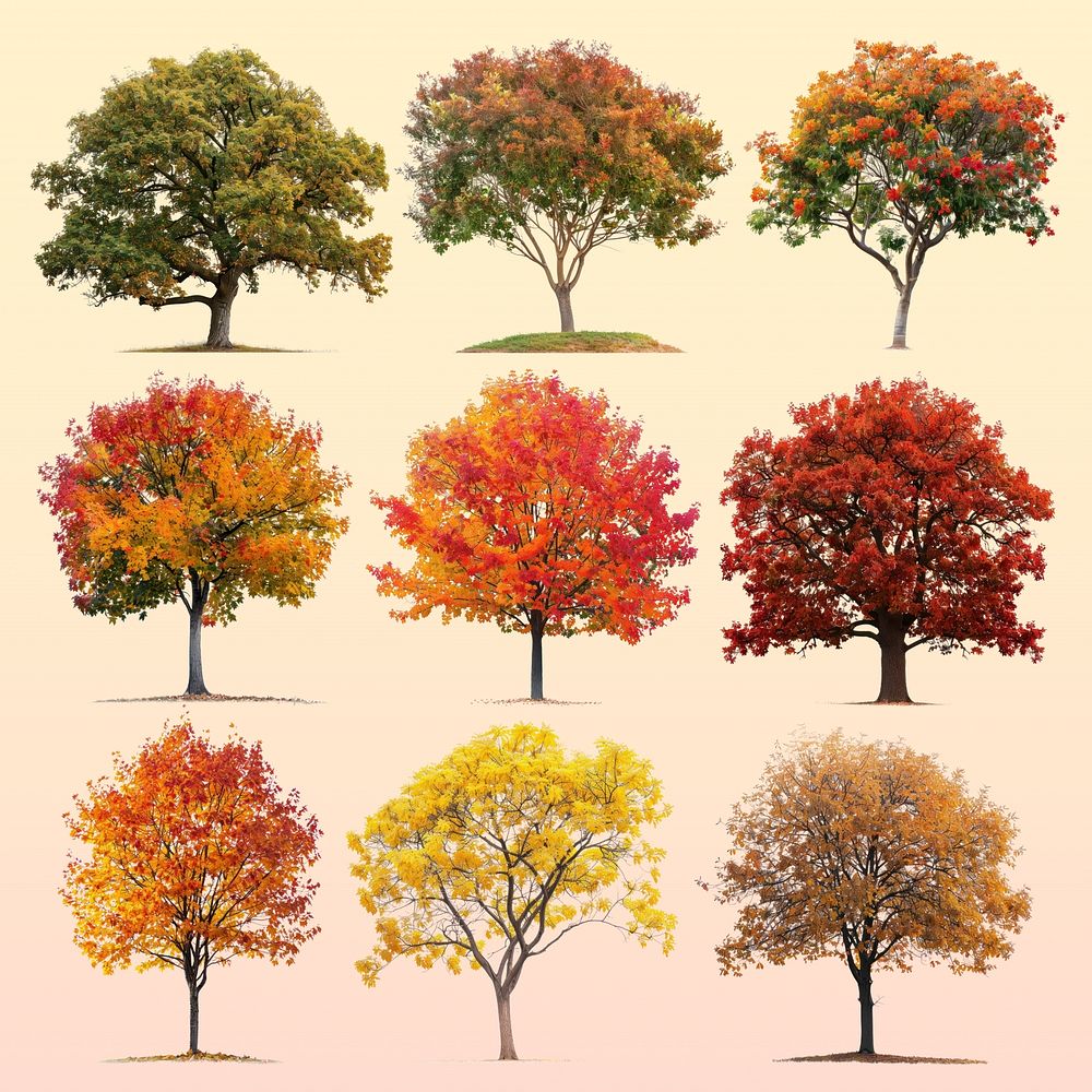 Autumn tree design element remix | Free Photo - rawpixel