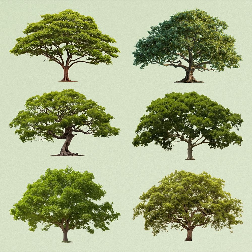 Oak tree design element remix | Free Photo - rawpixel