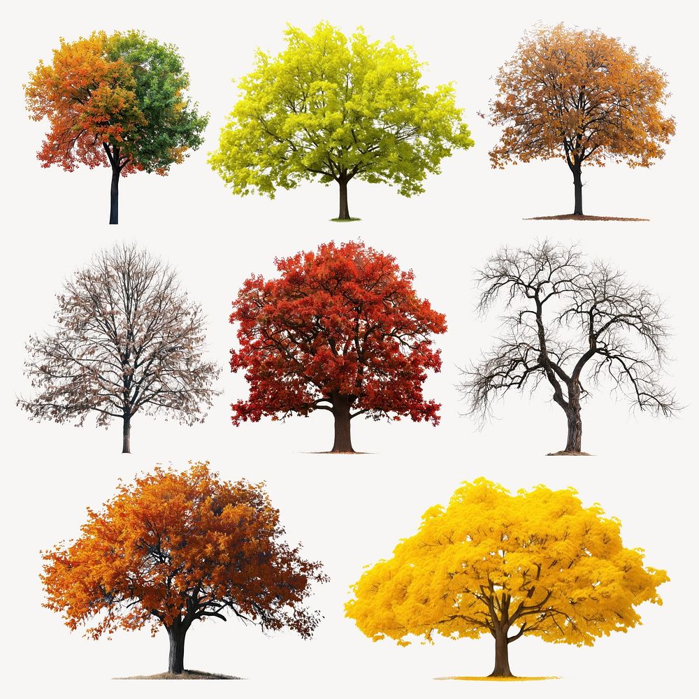 Tree design element set | Free Photo - rawpixel