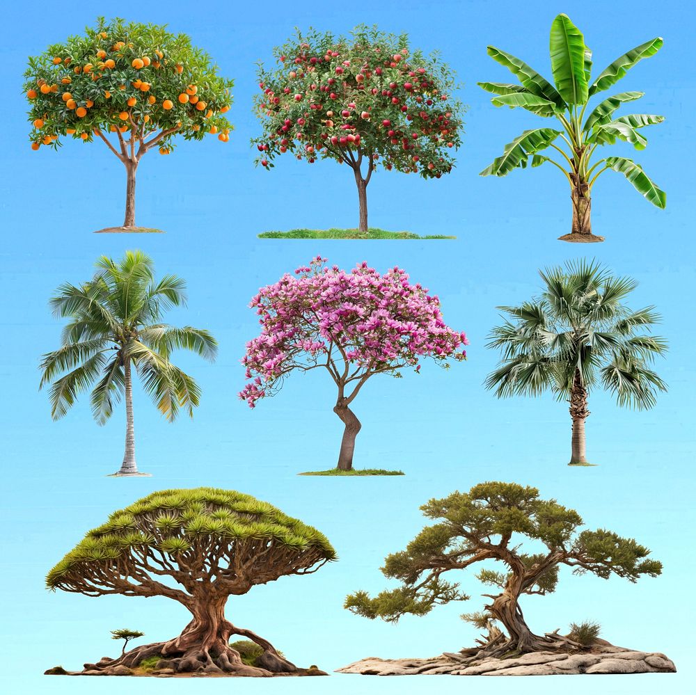 Tree design element set | Free Photo - rawpixel