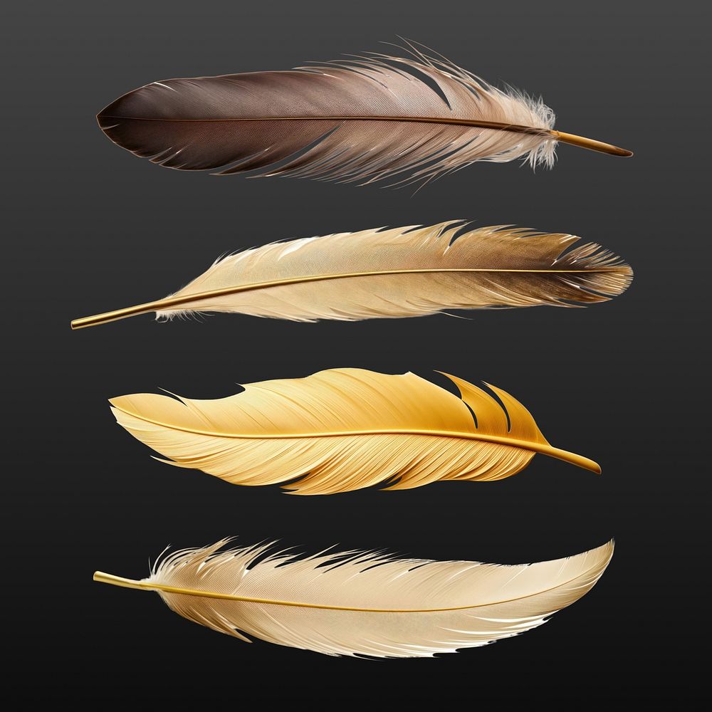 Realistic feather design element set | Free Photo - rawpixel