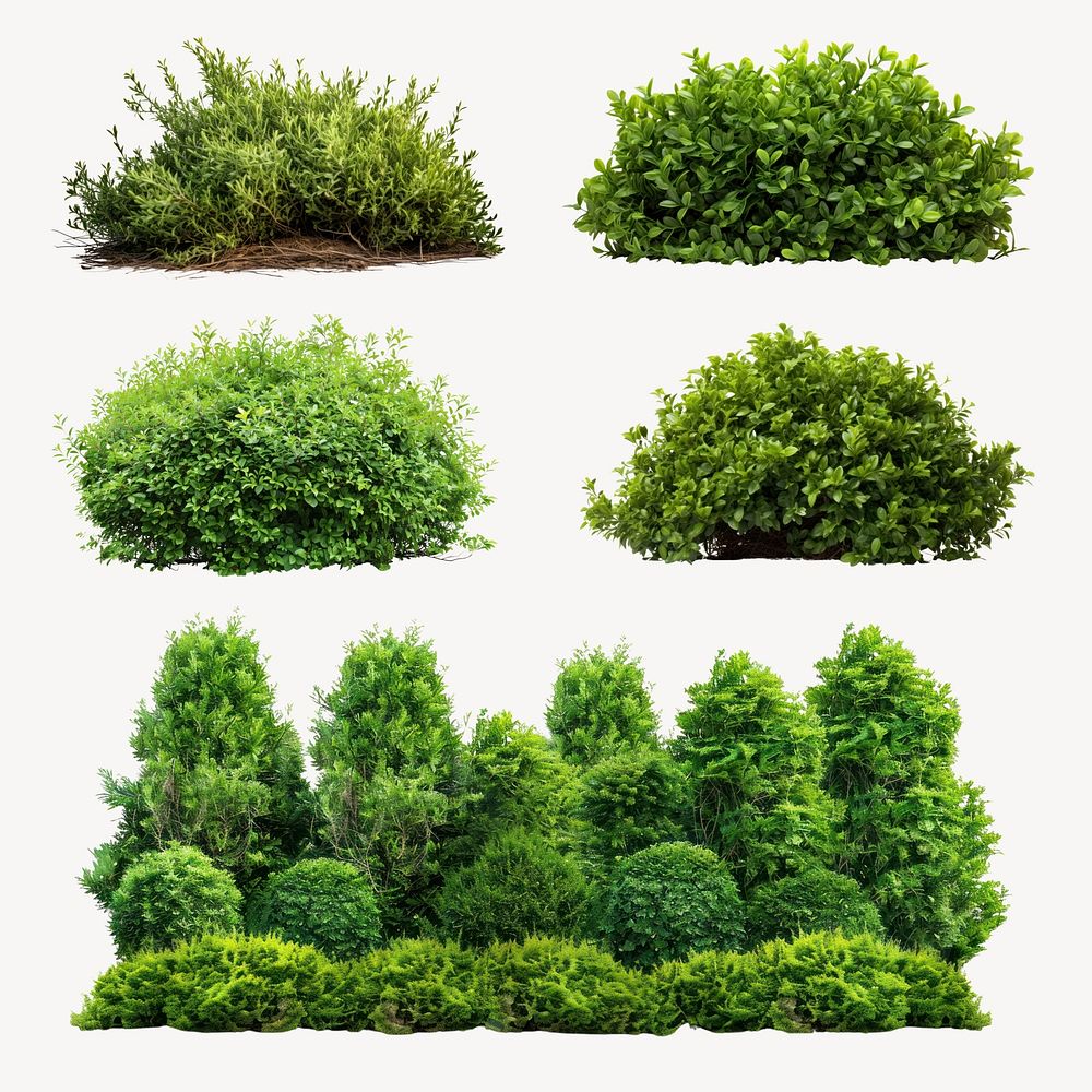 Bushes design element set | Free Photo - rawpixel