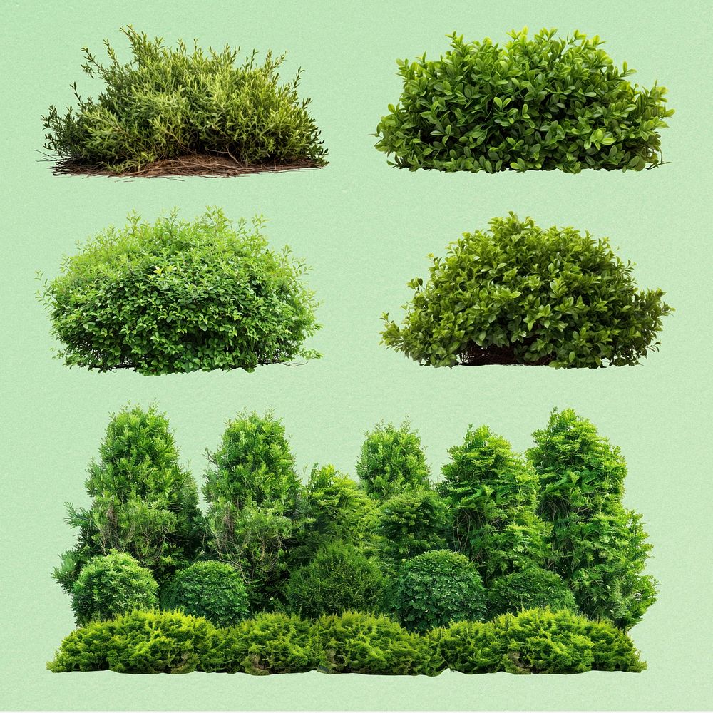 Bushes design element set | Free Photo - rawpixel
