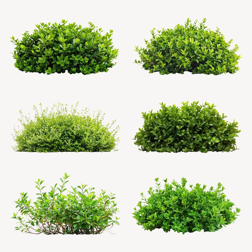 Bushes design element set | Free Photo - rawpixel