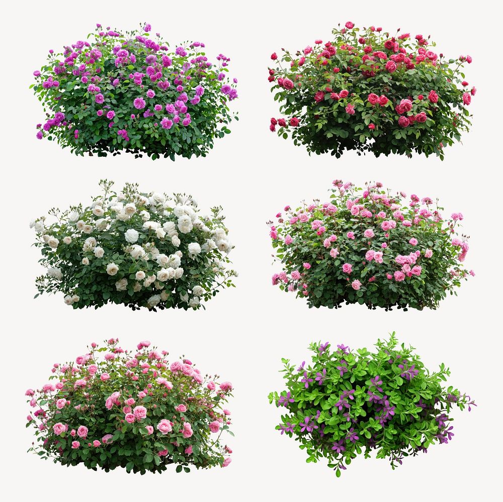 Bushes design element set | Free Photo - rawpixel