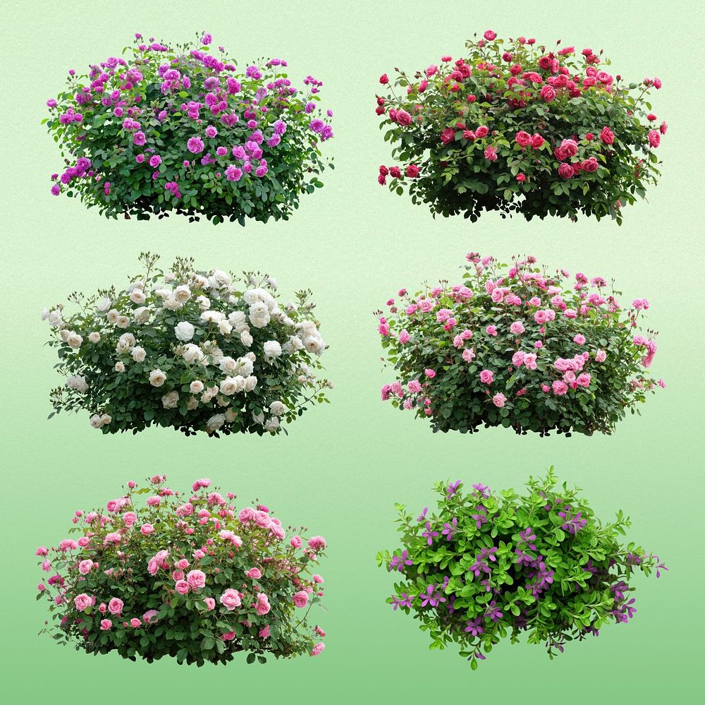 Bushes design element set | Free Photo - rawpixel