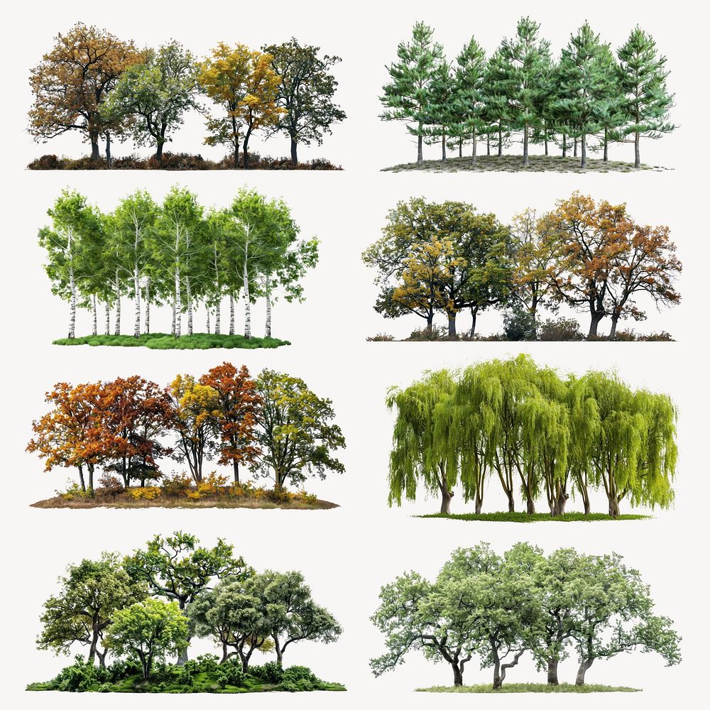 Group trees design element set | Free Photo - rawpixel