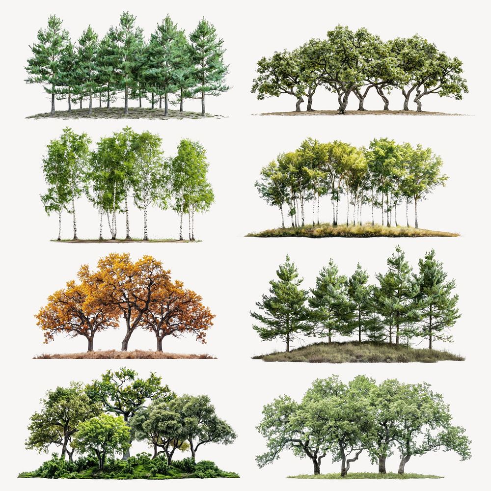 Group trees design element set | Free Photo - rawpixel