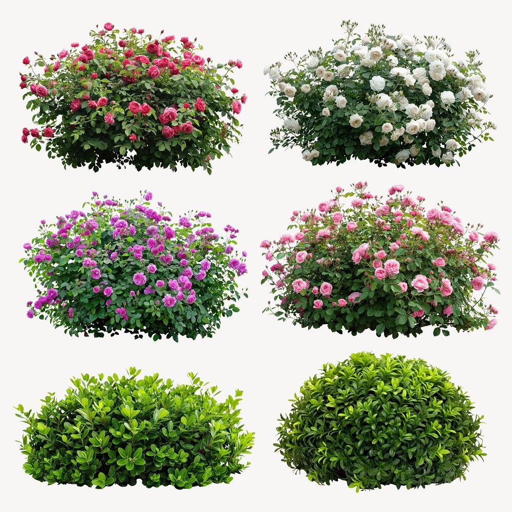 Flower bush design element set | Free Photo - rawpixel