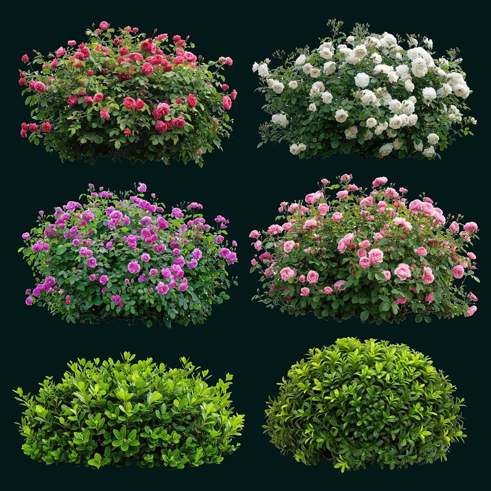 Flower bush design element set | Free Photo - rawpixel