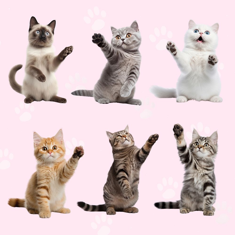 Cat waving hand design element | Free Photo - rawpixel