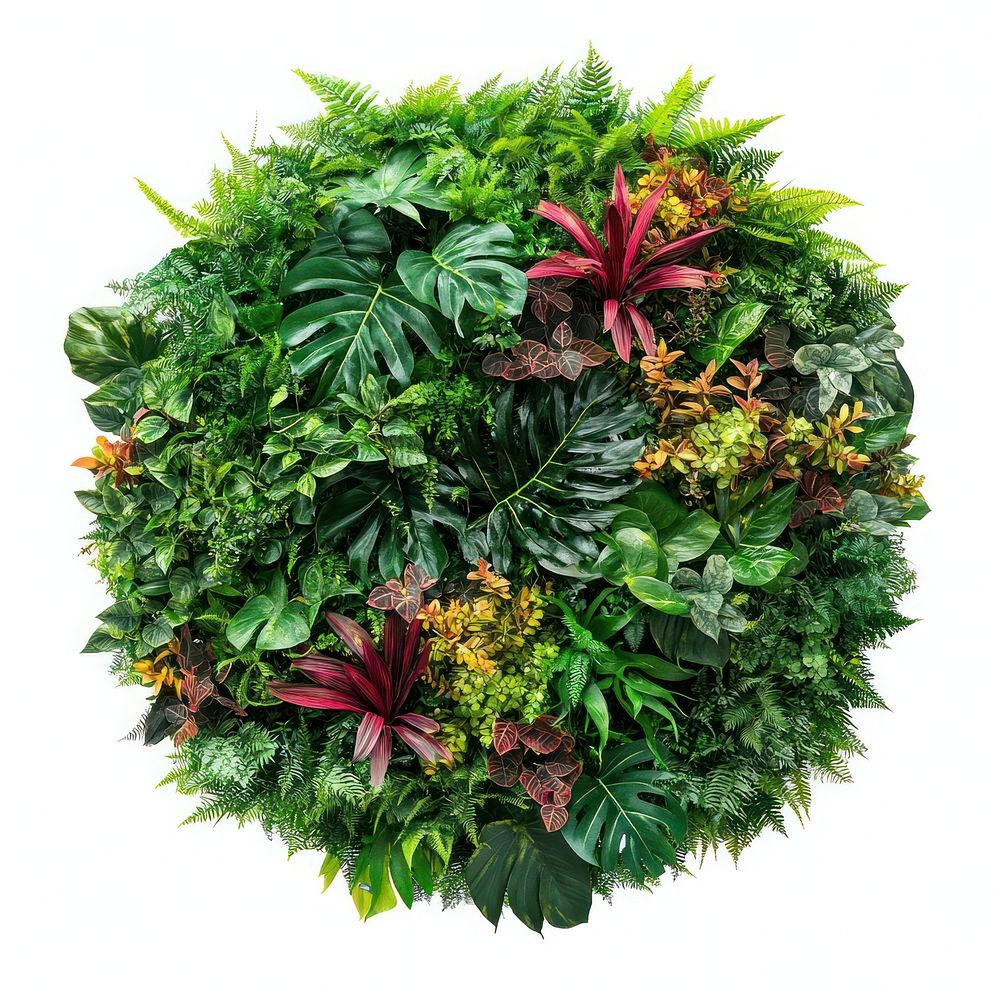 Lush circular green plant arrangement | Free Photo - rawpixel