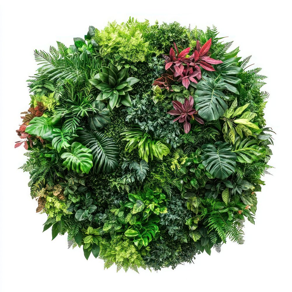 Lush spherical plant arrangement | Free Photo - rawpixel