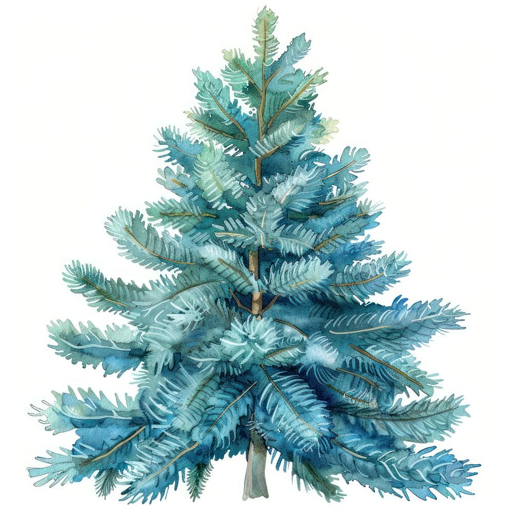 Watercolor evergreen tree illustration | Free Photo Illustration - rawpixel