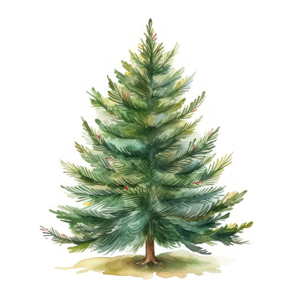 Watercolor evergreen tree illustration | Free Photo Illustration - rawpixel