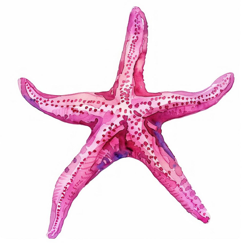 Vibrant watercolor pink starfish illustration | Free Photo Illustration ...