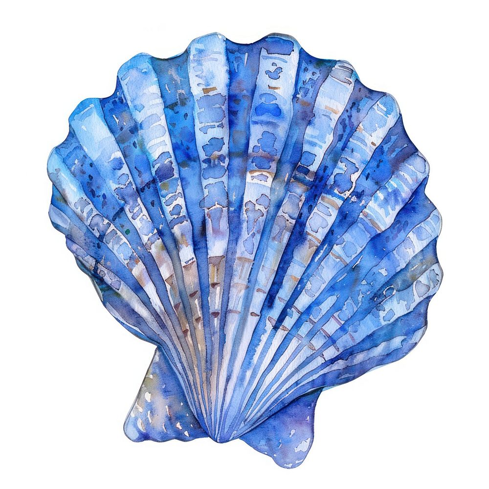 Blue watercolor seashell illustration | Free Photo Illustration - rawpixel