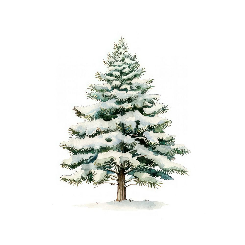 Snow-covered evergreen tree illustration | Premium Photo Illustration ...